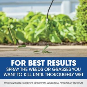 Roundup Weed & Grass Killer₄ with Pump 'N Go 2 Sprayer, Use In and Around Flower Beds, Trees & More, 1.33 gal.