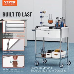 VEVOR Medical Trolley, Dual-Tier Stainless Steel Trolley with a 220 lbs Load Limit, Equipped with Quiet 360° Casters and a Drawer, Ideal for Laboratories, Clinics, Kitchens, and Salons\