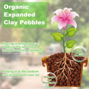 Riare 2 LBS Organic Expanded Clay Pebbles for Plants- 4mm-16mm Natural Leca Balls Lightweight Hydroponic Clay Pebbles Aggregate for Indoor Plants, Hydroponic Growing, Plants Drainage, Aquaponics