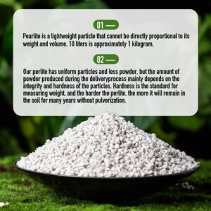 2QT Perlite for Plants Organic Perlite Horticultural Soil Amendment for Indoor & Outdoor Container Plants and Enhanced Drainage Enhanced Growth, Promote Root Growth and Soil Health