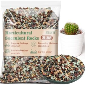 sukh 2lbs horticultural succulent rocks bonsai mix succulent potting mix lava rocks cactus soil potting mix amendment.