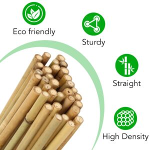 SWANGSA 40 Pack 4 Feet Bamboo Stakes for Plant, Bamboo Sticks Plant Support Garden Stakes Poles with 200pcs Twist Ties for Tomatoes, Beans, Flowers, Potted Plants, Indoor and Outdoor Climbing Plants