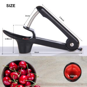 Cherry Pitter Tool - Heavy-Duty Stainless Steel Pitting Tool, Portable Cherries Corer Stoner Seed Tool with Lock Design, Fruit Pit Remover for Cherry Jam(Black)