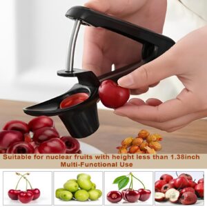 Cherry Pitter Tool - Heavy-Duty Stainless Steel Pitting Tool, Portable Cherries Corer Stoner Seed Tool with Lock Design, Fruit Pit Remover for Cherry Jam(Black)