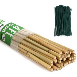 swangsa 40 pack 4 feet bamboo stakes for plant, bamboo sticks plant support garden stakes poles with 200pcs twist ties for tomatoes, beans, flowers, potted plants, indoor and outdoor climbing plants