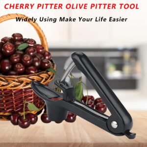 Cherry Pitter Tool - Heavy-Duty Stainless Steel Pitting Tool, Portable Cherries Corer Stoner Seed Tool with Lock Design, Fruit Pit Remover for Cherry Jam(Black)