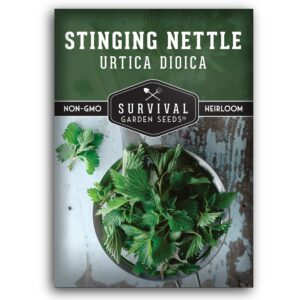 stinging nettle seed for planting - 1 packet with instructions to plant and grow medicinal herb common stinging nettle in your home herb garden - non-gmo heirloom variety - survival garden seeds