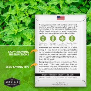 Stinging Nettle Seed for Planting - 1 Packet with Instructions to Plant and Grow Medicinal Herb Common Stinging Nettle in Your Home Herb Garden - Non-GMO Heirloom Variety - Survival Garden Seeds