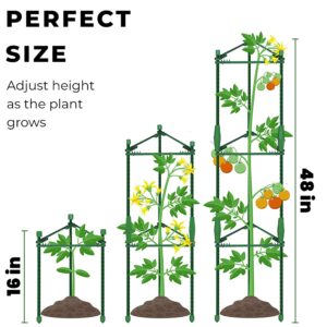 K-Brands Tomato Cage - Premium Tomato Trellis and Plant Support for Tomatoes, Vegetable and Climbing Plants - Tomato Cages for Garden and Pots Outdoor (3 Pack - Upto 48 inches)