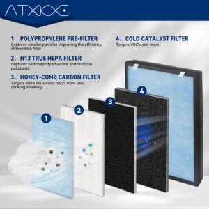 ATXKXE HSP002 Replacement Filter Compatible with Hathaspace Air Purifier Filter HSP002, 2 Pack