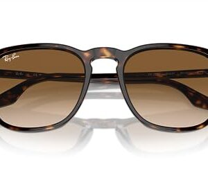 Ray-Ban RB2203 Square Sunglasses, Havana/Clear Gradient Brown, 52 mm