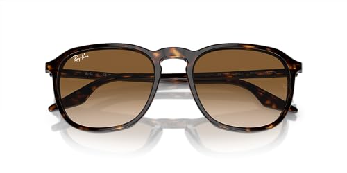 Ray-Ban RB2203 Square Sunglasses, Havana/Clear Gradient Brown, 52 mm