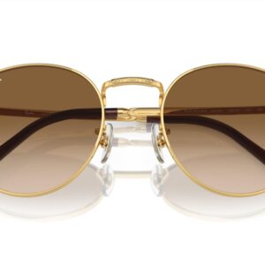 Ray-Ban RB3637 New Round Sunglasses, Gold/Clear Gradient Brown, 50 mm