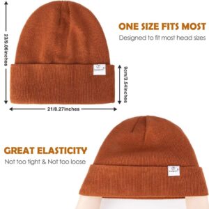 3 Pack Satin Lined Winter Beanie Hats for Women Men,Silk Lined Beanie Knit Soft Warm Cuffed Hat(Black+Dark Gray+Caramel)