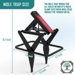 LETYANGER Mole Traps, Black Galvanized Steel Scissor Trap, Reusable Mole Gopher Traps, Mole Killer, Galvanized Steel Mole Scissor Trap, Ground Mole Trap for Lawns, 2 Pcs (Black)