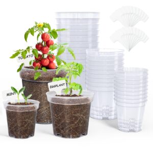 homenote clear nursery pots for plants,3/4/5 inch plant pot for planting plastic seedling pots with drainage holes seed starter pot flower pots high transparency with 20 plant labels (30 pack)