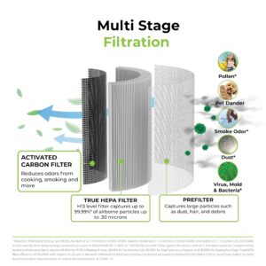 Air Purifiers for Home, Large Room Covers 1500 Ft², H13 Medical Grade True HEPA Air Filter, Ideal for Allergies, Cat, Dog, Pet, Hair, Pollen, Smoke, Dust, Bedroom Air Filter, WiFi, InvisiClean Bella