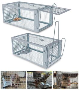 2 packs humane rat trap outdoor, wanqueen humane mouse traps indoor, small rodent chipmunk squirrel trap and other live animal cage catch and release