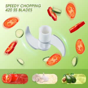 SAYIHEXIHE Garlic Chopper Mini Manual Hand Food Chopper for Kitchen Onion Dicer Crusher Garlic Mincer Blue 160ml