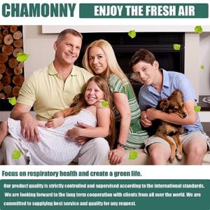 CHAMONNY IAF-H-100D Idylis D Replacement Filter Size D, Compatible with Idylis AC-2118, AC-2123, IAP-10-280 Air Purifier Devices, 2 H13 True HEPA Filters + 4 Activated Carbon Pre-filters