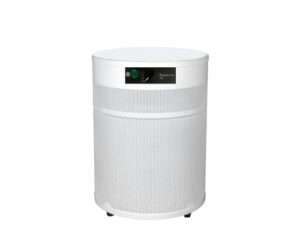 airpura r400-the everyday air purifier