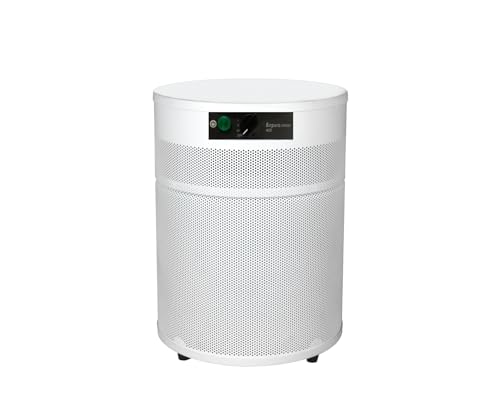 Airpura R400-The everyday air purifier