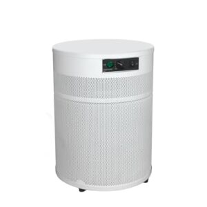 Airpura R400-The everyday air purifier