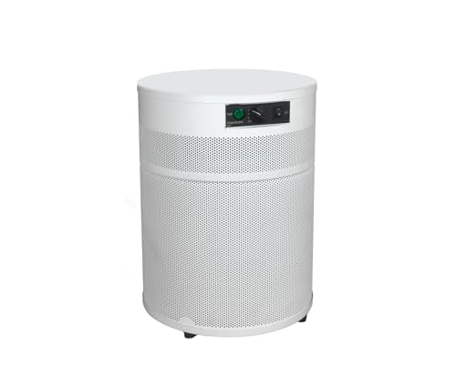 Airpura R400-The everyday air purifier