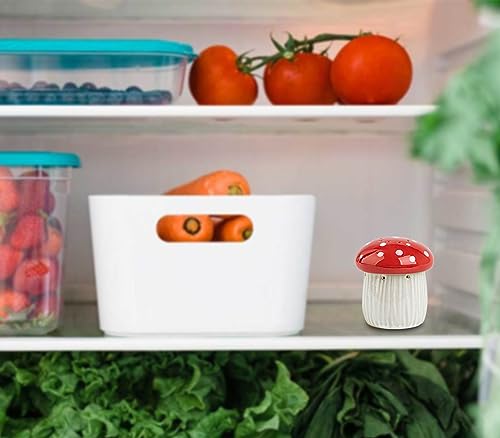 Mushroom Baking Soda Holder For Fridge Deodorizer Ceramic Baking Soda Fridge Holder Odor Absorber Container Smell Remover Cute Fridge Deodorizer Refrigerator Odor Eliminator(No Soda)