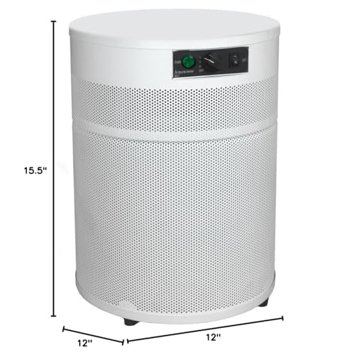 Airpura R400-The everyday air purifier