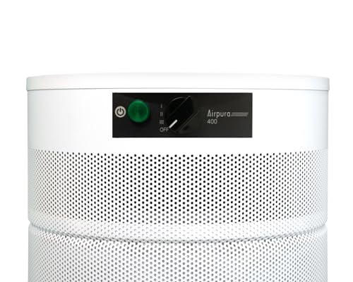 Airpura R400-The everyday air purifier