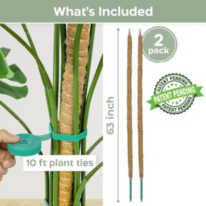 K-Brands 2 Pack Moss Pole - 63'' Bendable Monstera Plant Support - Moss Poles for Climbing Plants Monstera - Plant Pole Plant Sticks Support - Plant Stakes kit for Indoor Plants