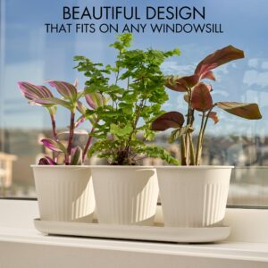 KIBAGA Beautiful Herb Garden Planter Indoor Set of 3 - Perfect for Any Kitchen Window Sill or Countertop - A Modern Decor Gardening Planter Kit Incl. Tray & Drainage Holes to Grow Fresh Herbs at Home