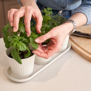 KIBAGA Beautiful Herb Garden Planter Indoor Set of 3 - Perfect for Any Kitchen Window Sill or Countertop - A Modern Decor Gardening Planter Kit Incl. Tray & Drainage Holes to Grow Fresh Herbs at Home