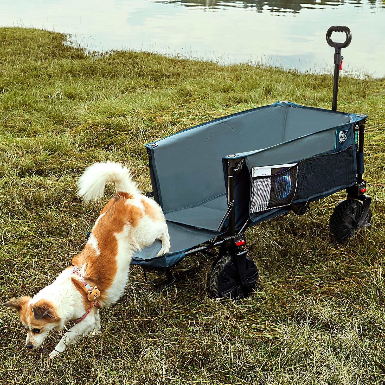 TIMBER RIDGE 47" Extra Long Collapsible Folding Wagon with Tailgate, 300lbs Heavy Duty Beach Wagon with All-Terrain Big Wheels, Foldable Utility Wagon Cart for Sand Camping Sports Shopping, Blue