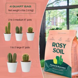 Cactus and Succulent Organic Potting Soil Mix for House Plants - Fast Draining, Root Boosting, Peat-Free Soil for Drought Tolerant Growth of Aloe Vera, Cacti and Indoor Succulents Plants - 4 qt