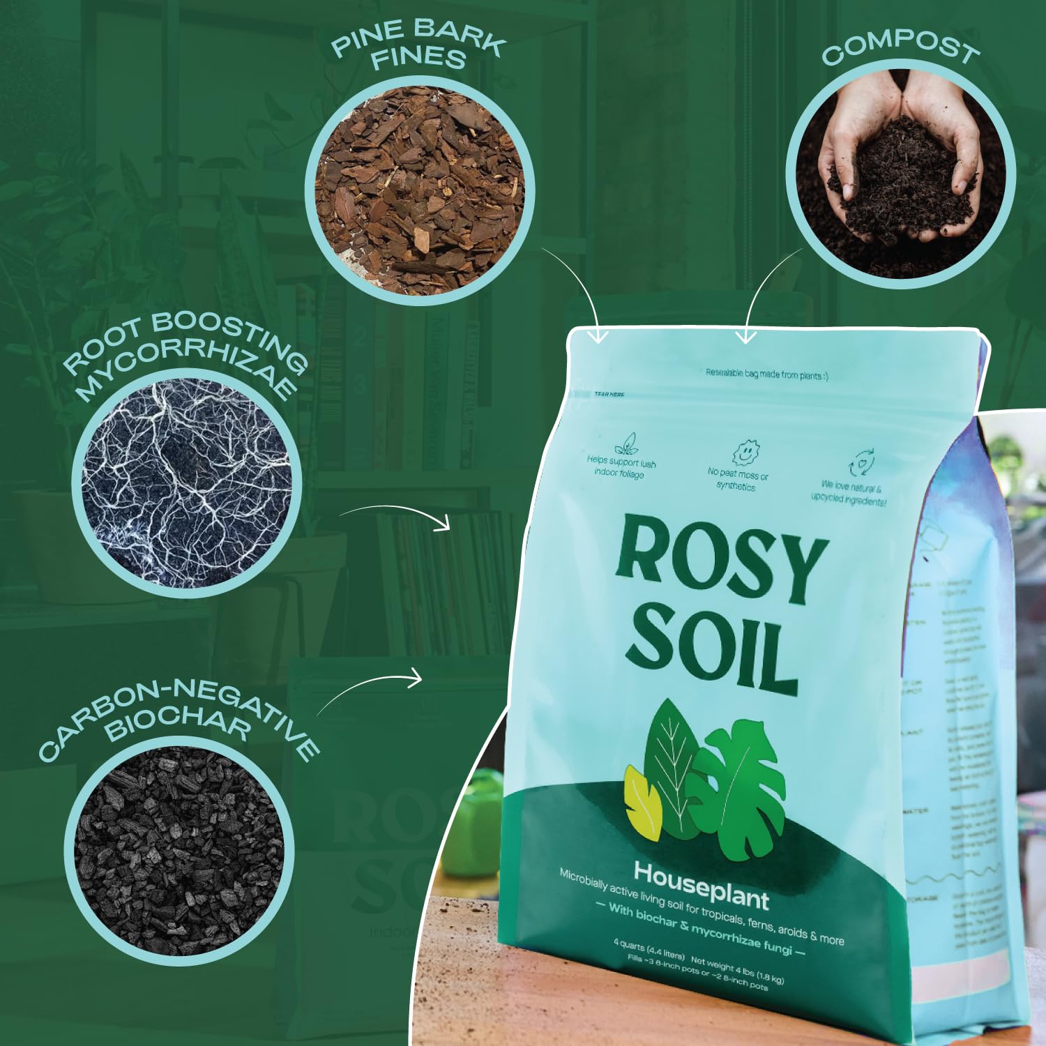 Rosy Soil Indoor Potting Soil for House Plants - Organic Potting Soil Mix for Indoor Plants -Enriched w/Root-Boosting Biochar for Foliage Plants, Flowers, Herbs - Peat Free House Plant Soil - 4qt