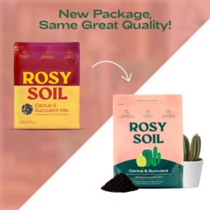 Cactus and Succulent Organic Potting Soil Mix for House Plants - Fast Draining, Root Boosting, Peat-Free Soil for Drought Tolerant Growth of Aloe Vera, Cacti and Indoor Succulents Plants - 4 qt