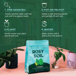 Rosy Soil Indoor Potting Soil for House Plants - Organic Potting Soil Mix for Indoor Plants -Enriched w/Root-Boosting Biochar for Foliage Plants, Flowers, Herbs - Peat Free House Plant Soil - 4qt