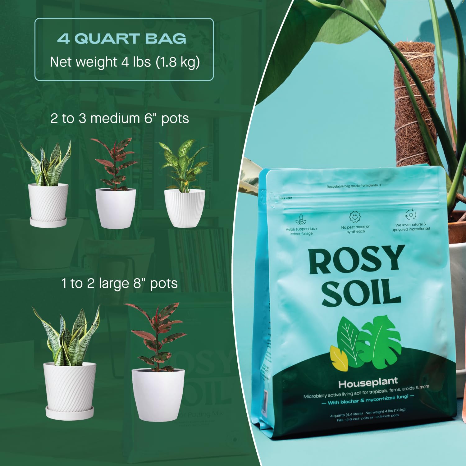 Rosy Soil Indoor Potting Soil for House Plants - Organic Potting Soil Mix for Indoor Plants -Enriched w/Root-Boosting Biochar for Foliage Plants, Flowers, Herbs - Peat Free House Plant Soil - 4qt