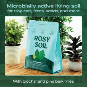 Rosy Soil Indoor Potting Soil for House Plants - Organic Potting Soil Mix for Indoor Plants -Enriched w/Root-Boosting Biochar for Foliage Plants, Flowers, Herbs - Peat Free House Plant Soil - 4qt