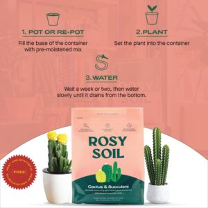 Cactus and Succulent Organic Potting Soil Mix for House Plants - Fast Draining, Root Boosting, Peat-Free Soil for Drought Tolerant Growth of Aloe Vera, Cacti and Indoor Succulents Plants - 4 qt