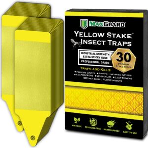 maxguard (30 pack) yellow stake sticky insect/bug traps - catch and kill fungus gnats, whiteflies, mosquitos, aphids, leaf miners, flying insect catcher glue trappers for indoor or outdoor