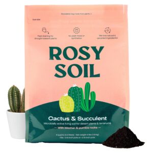 cactus and succulent organic potting soil mix for house plants - fast draining, root boosting, peat-free soil for drought tolerant growth of aloe vera, cacti and indoor succulents plants - 4 qt