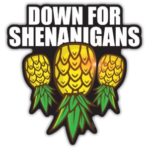 down for shenanigans upside down pineapple magnet for cruise door, refrigerator and car bumper, swinger lifestyle gifts, size 4in