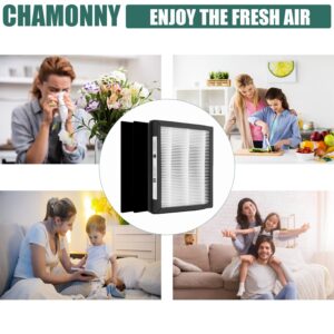 CHAMONNY IAF-H-100B Idylis Replacement Filter B, Compatible with Idylis AC-2125, AC-2126, IAP-10-150, IAP-10-125, IAP-10-050, IAPC-40-140 Air Purifiers, 2 H13 True HEPA Filters + 4 Pre-Filters