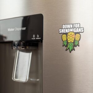 Down for Shenanigans Upside Down Pineapple Magnet for Cruise Door, Refrigerator and Car Bumper, Swinger Lifestyle Gifts, Size 4in