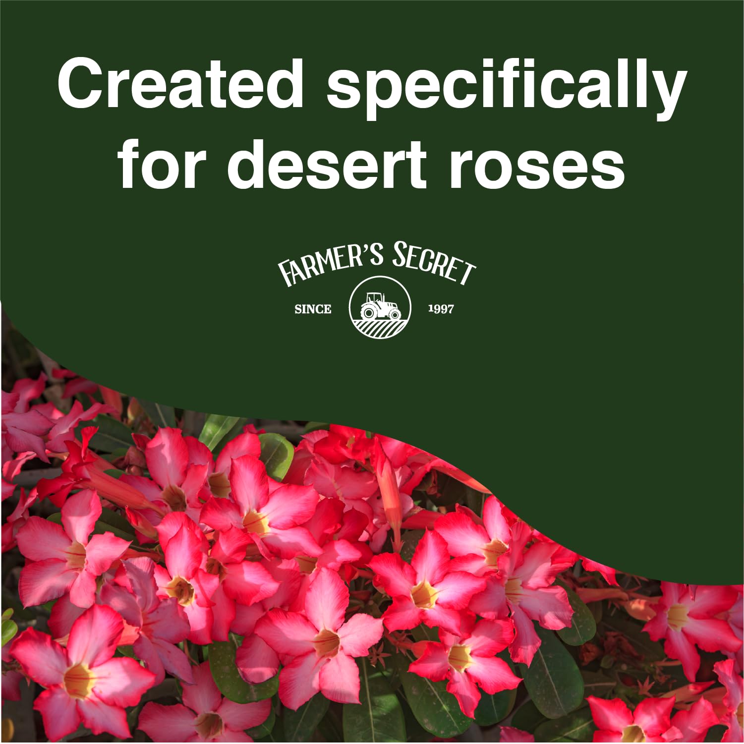 Farmer's Secret Desert Rose Liquid Plant Food Fertilizer (8oz) - Super Concentrated - Promote Flowering and Trunk Growth - 3:11:8 Ratio