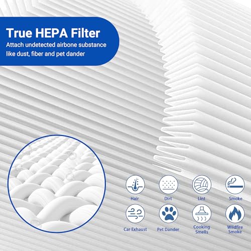 MK01 & MK06 True HEPA Filter Replacement for MK01 MK06, TZ-K1 and DH-JH01 Air Purifier, Standard Version, Blue, 2 Pack