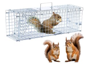 24" live animal trap, humane animal trap for stray cats up to 5.5 pounds, raccoons, squirrels, skunks, moles, marmots, armadillos, rabbits, steel folding with pedal trigger